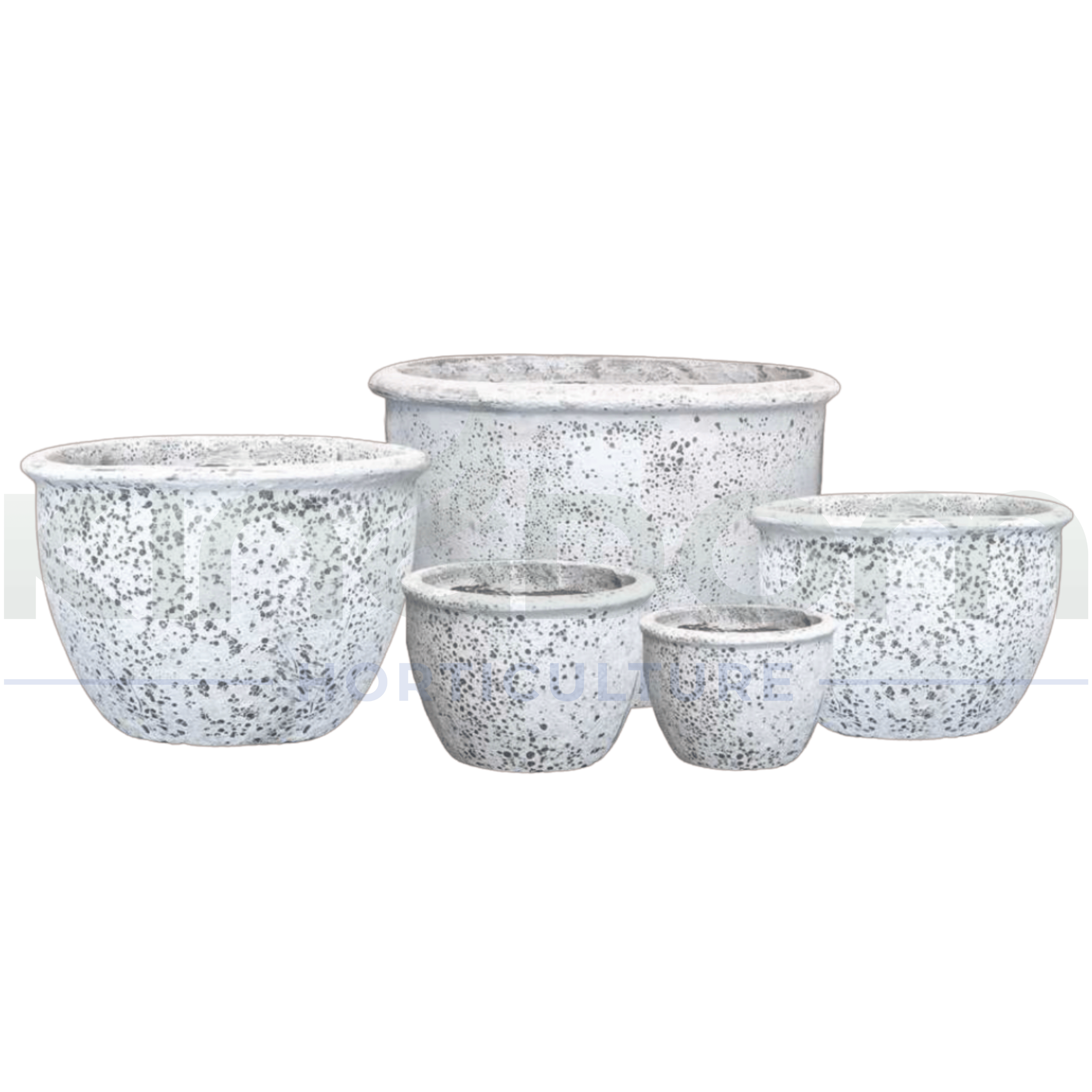 Ancient Cana Pot | 5 Sizes | Kingdom Horticulture